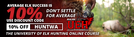 300 class bull elk